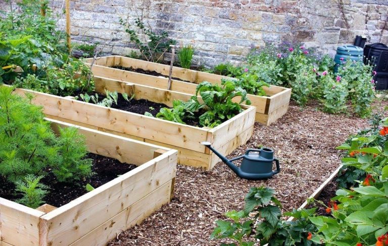 Pouco espaço alta produção como fazer uma mini horta no quintal