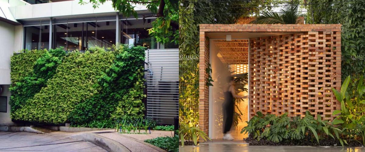 Tipos de Plantas para Fachada. Bônus de 31 Espécies